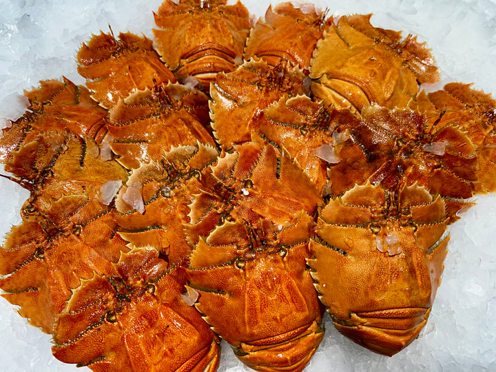 Best Fish Market Gold Coast | Fresh Seafood Delivery – Tasman Star ...