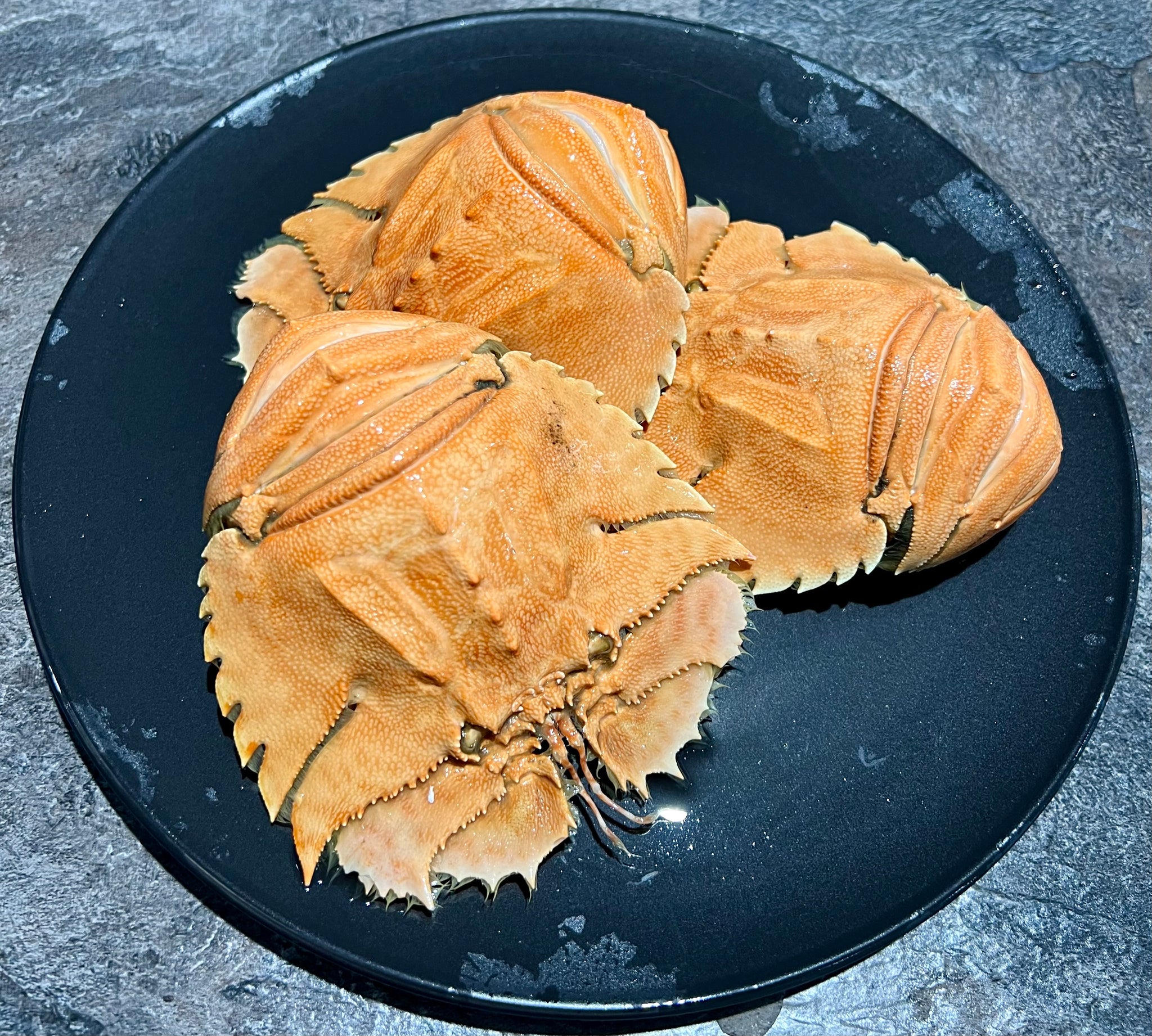 Balmain Bugs Cooked 1kg Pack – Tasman Star Seafood Market